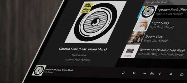 Triad 8 Zone 16 Channel Power Amplifier | Audio Concept